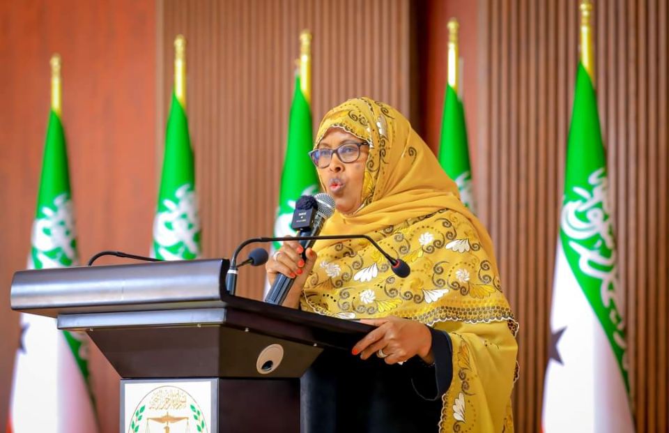 Sawirada Madaxweynaha Jamhuuriyadda Somaliland oo ka hadlay xaalada ...